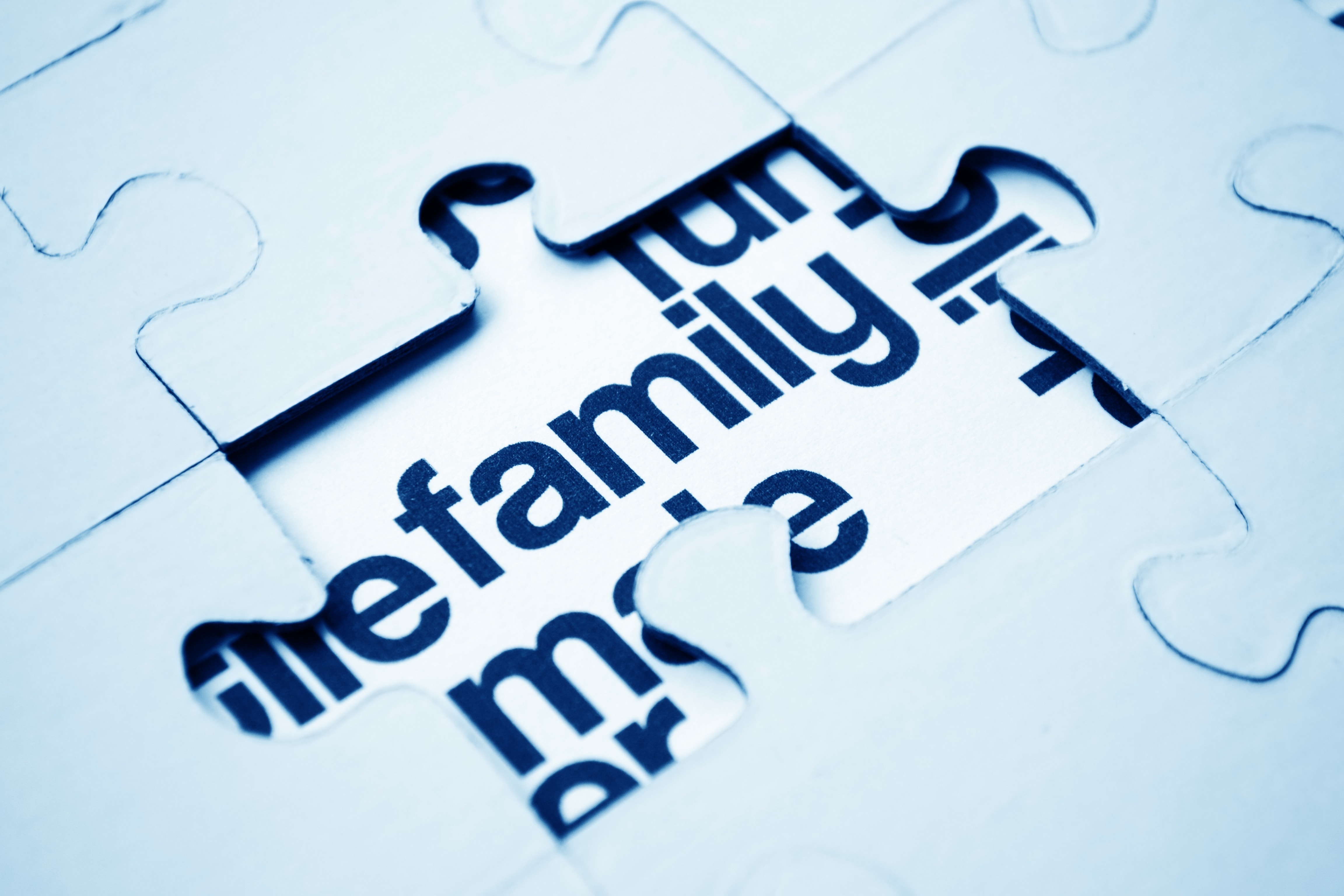 Family Puzzle family-puzzle